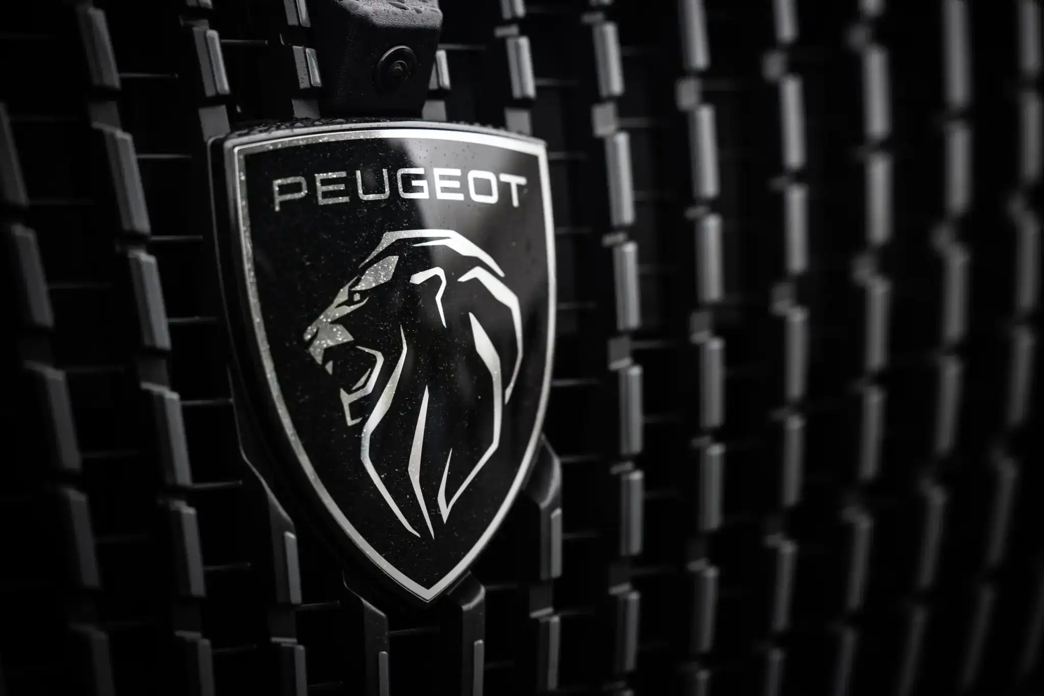 Peugeot Models Explained | Types of Peugeot Cars | Hippo Leasing